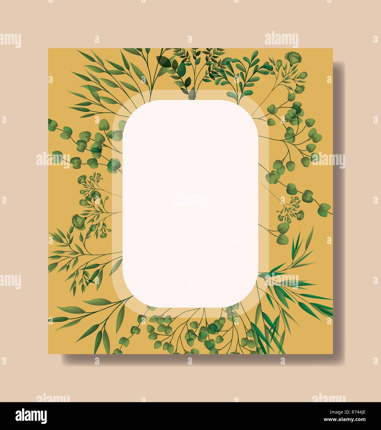 square frame with laurel leafs Stock Vector Image & Art - Alamy
