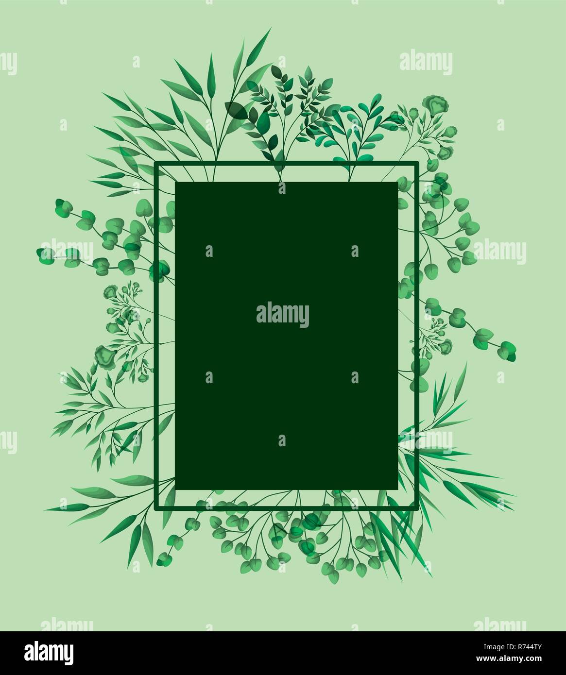 square frame with laurel leafs Stock Vector Image & Art - Alamy