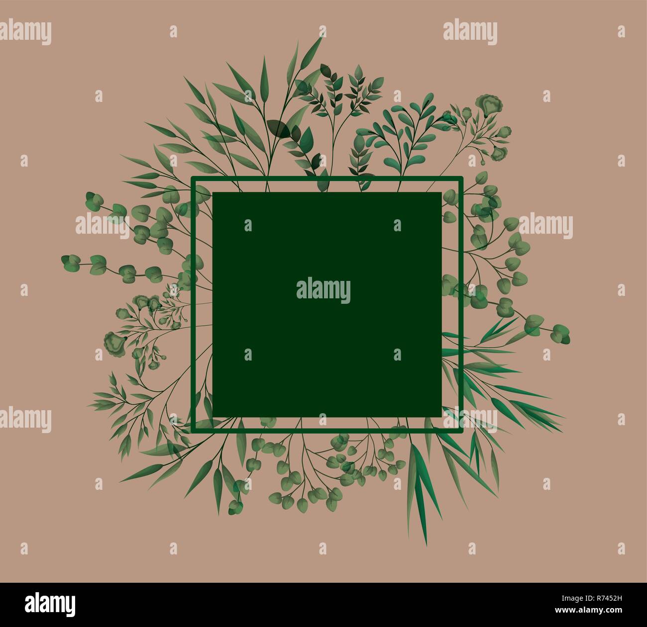 square frame with laurel leafs Stock Vector Image & Art - Alamy