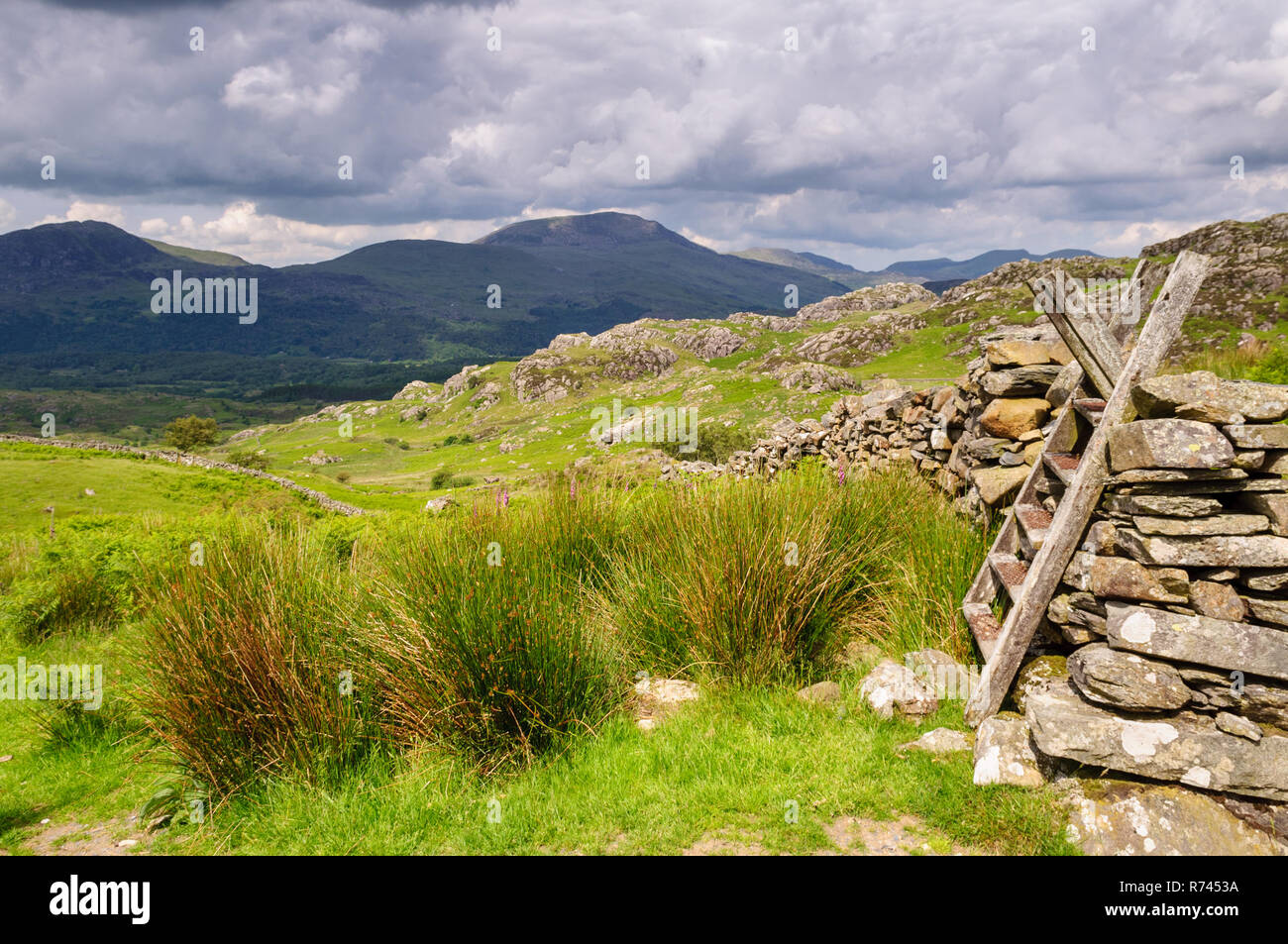A ladder stile crosses a traditional dry stone wall on a hiking ...