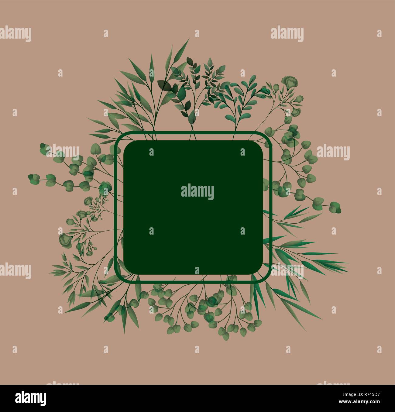 square frame with laurel leafs Stock Vector Image & Art - Alamy