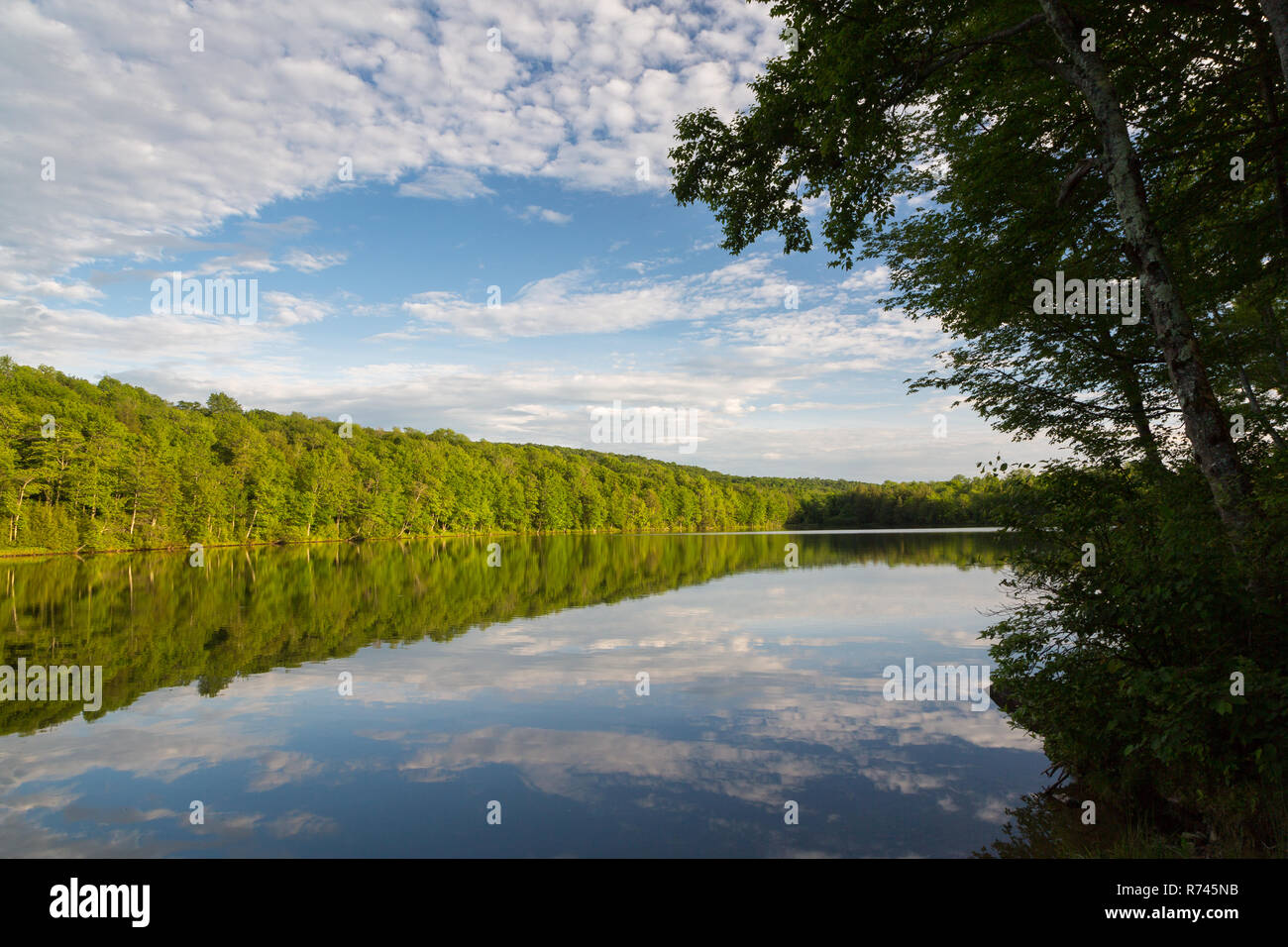 Mongaup pond hi-res stock photography and images - Alamy