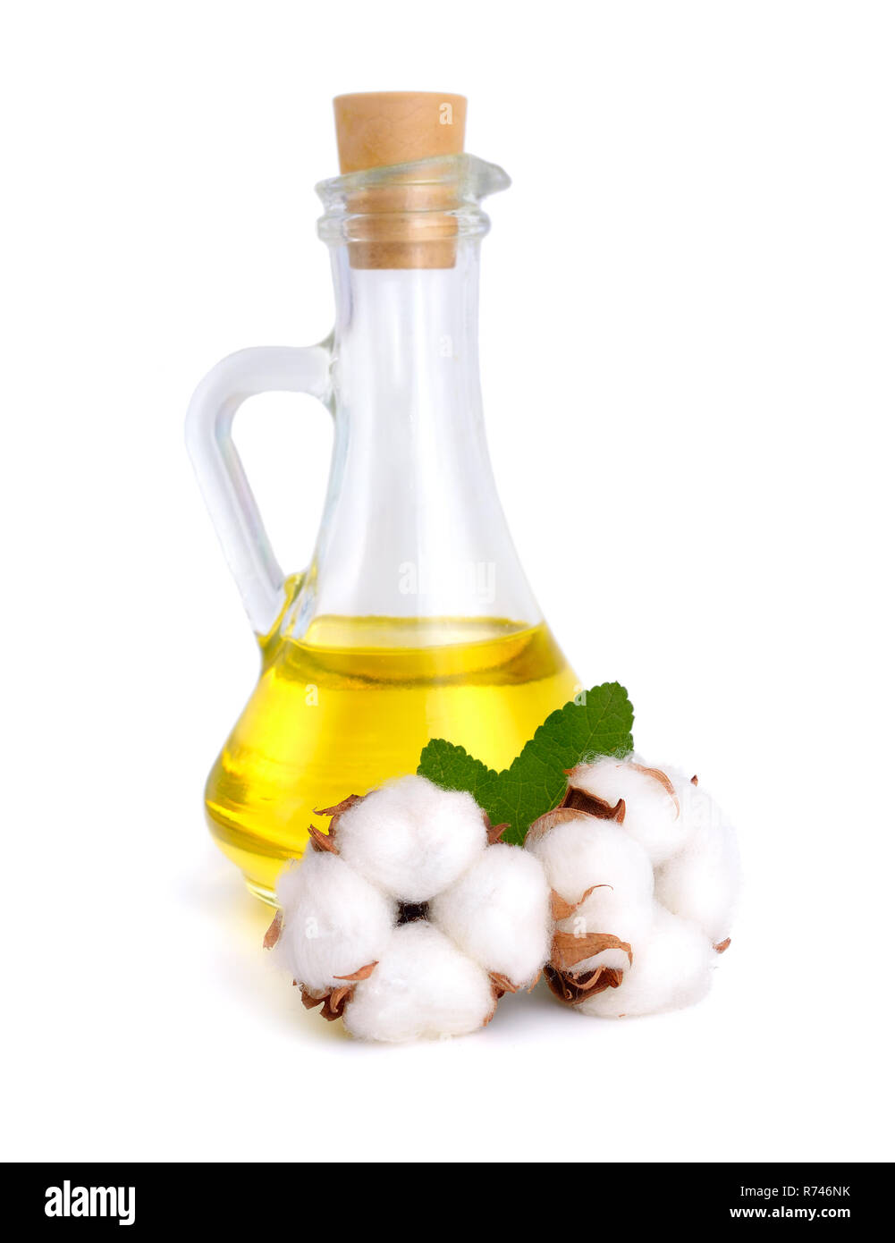 Cotton plant with oil isolated on white background Stock Photo - Alamy
