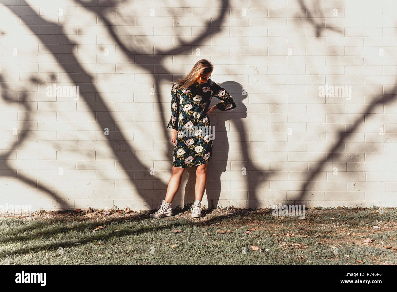 Shadow and trees hi-res stock photography and images - Alamy