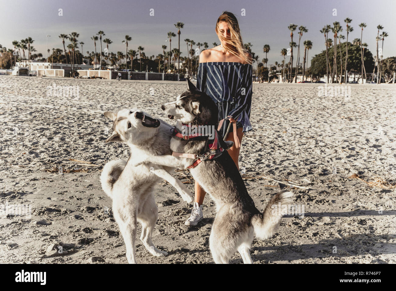 Playfighting hi-res stock photography and images - Alamy