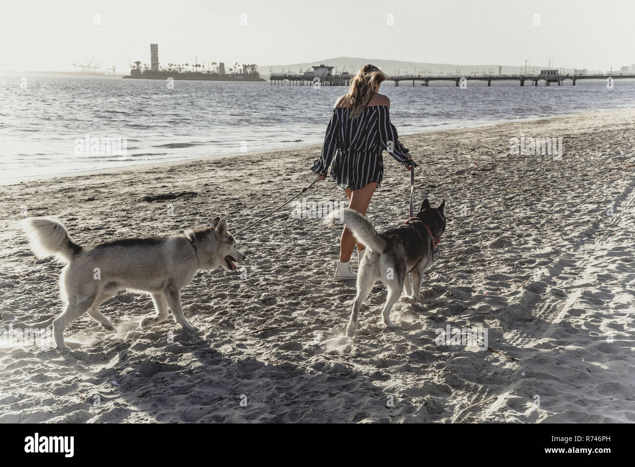 Woman walking her two dogs on beach hi-res stock photography and images ...