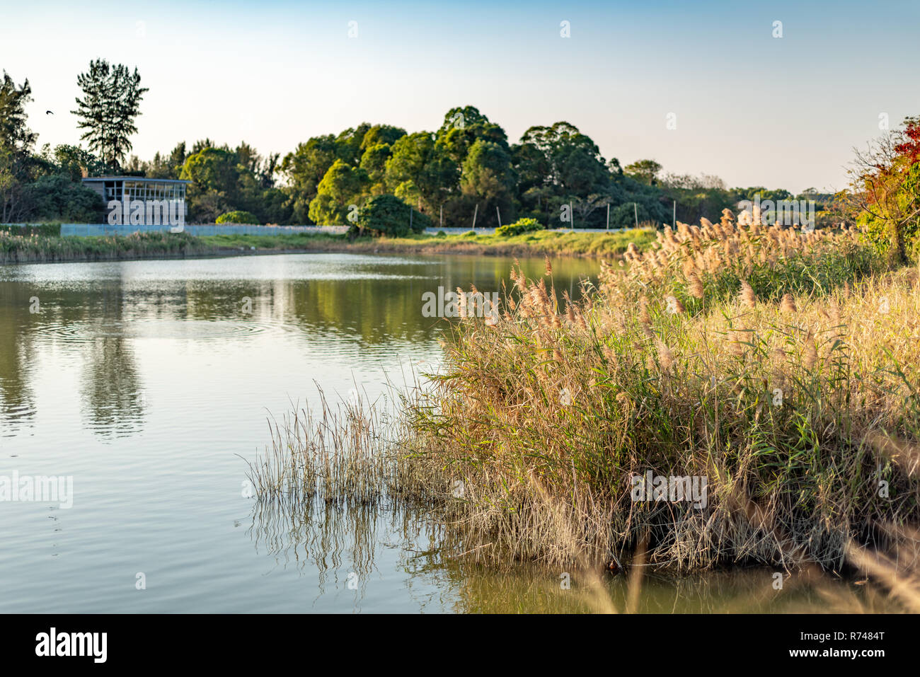 The rural villages in countryside of Hong Kong Stock Photo - Alamy