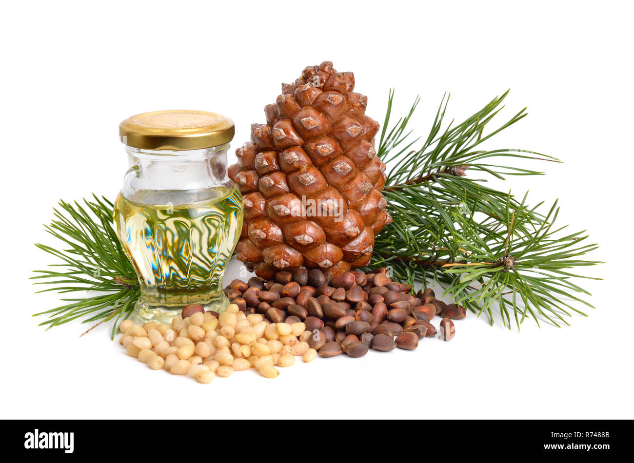 Pine nuts with oil. Isolated on white background Stock Photo - Alamy