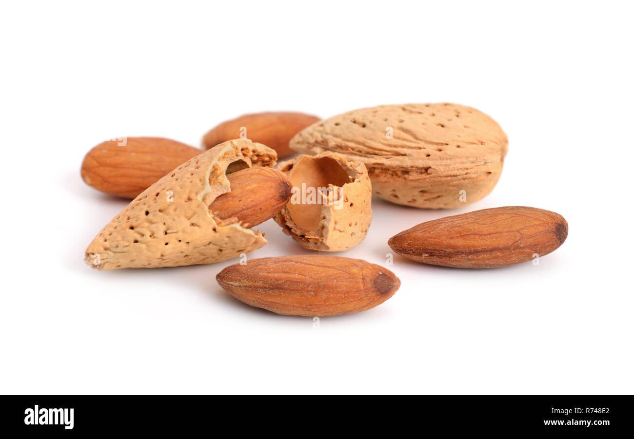 Almond in shell and shelled isoalted on white background Stock Photo ...