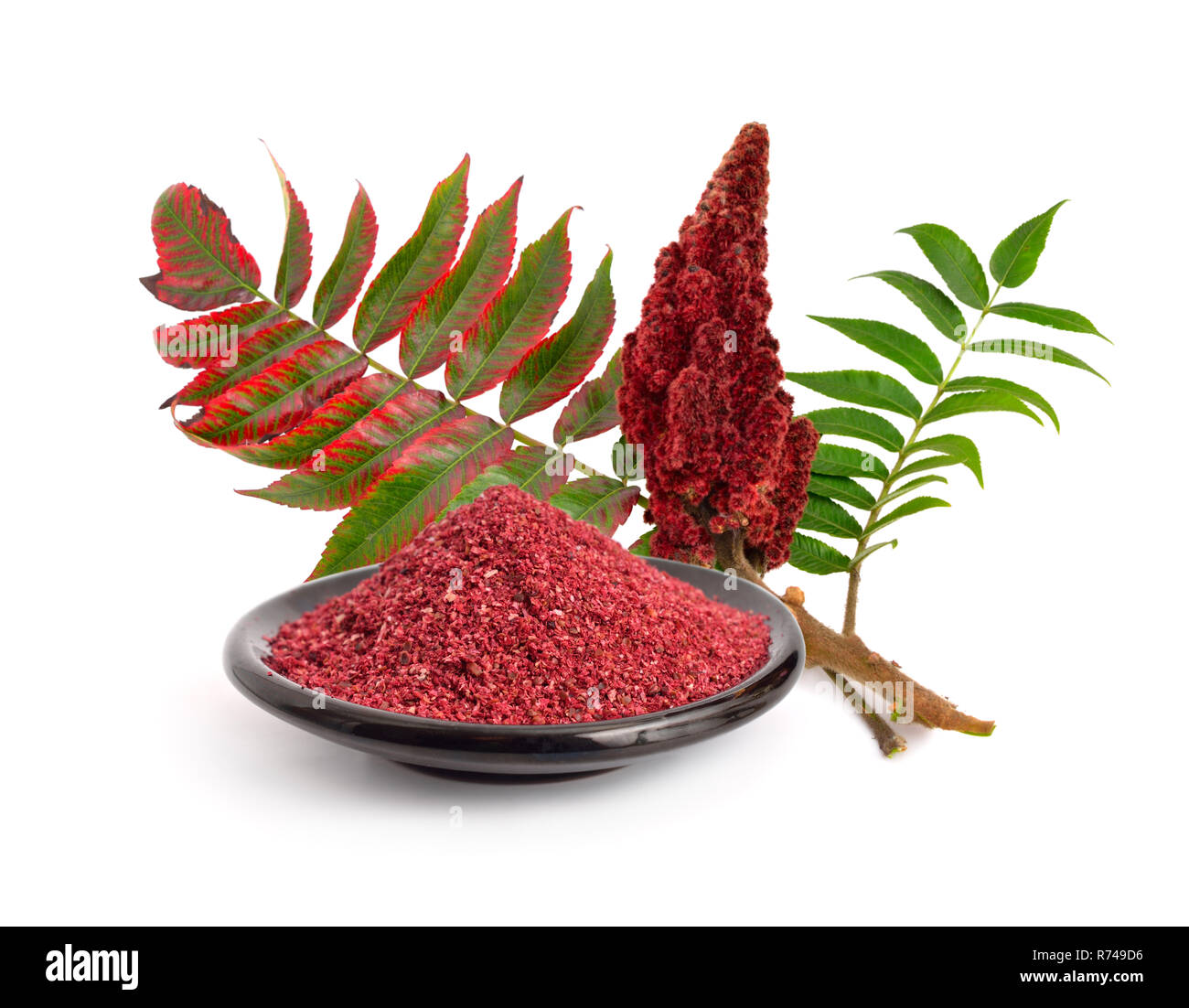 Sumac spice with branch isolated on white background Stock Photo - Alamy