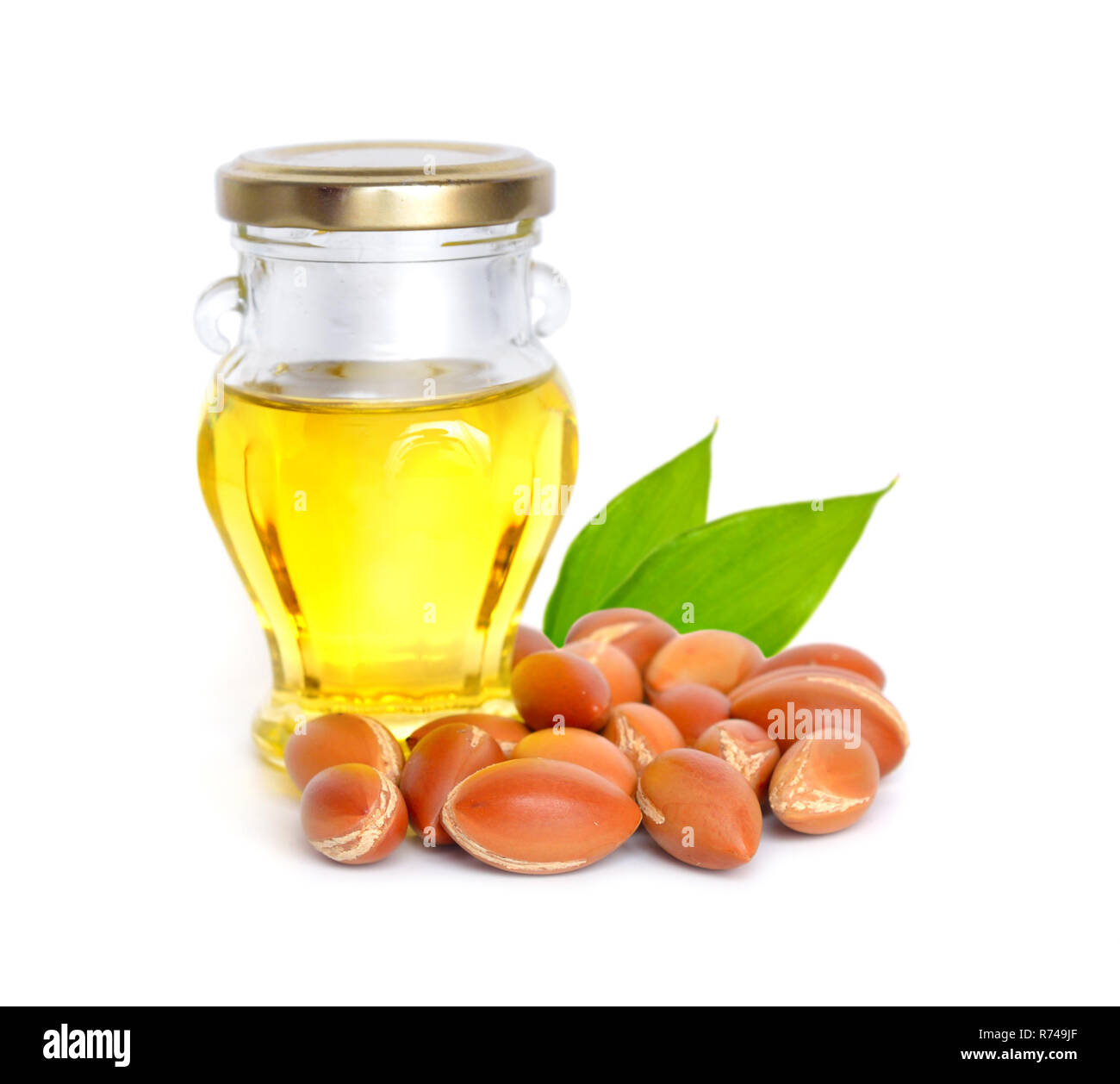 Argan tree seed hi-res stock photography and images - Alamy