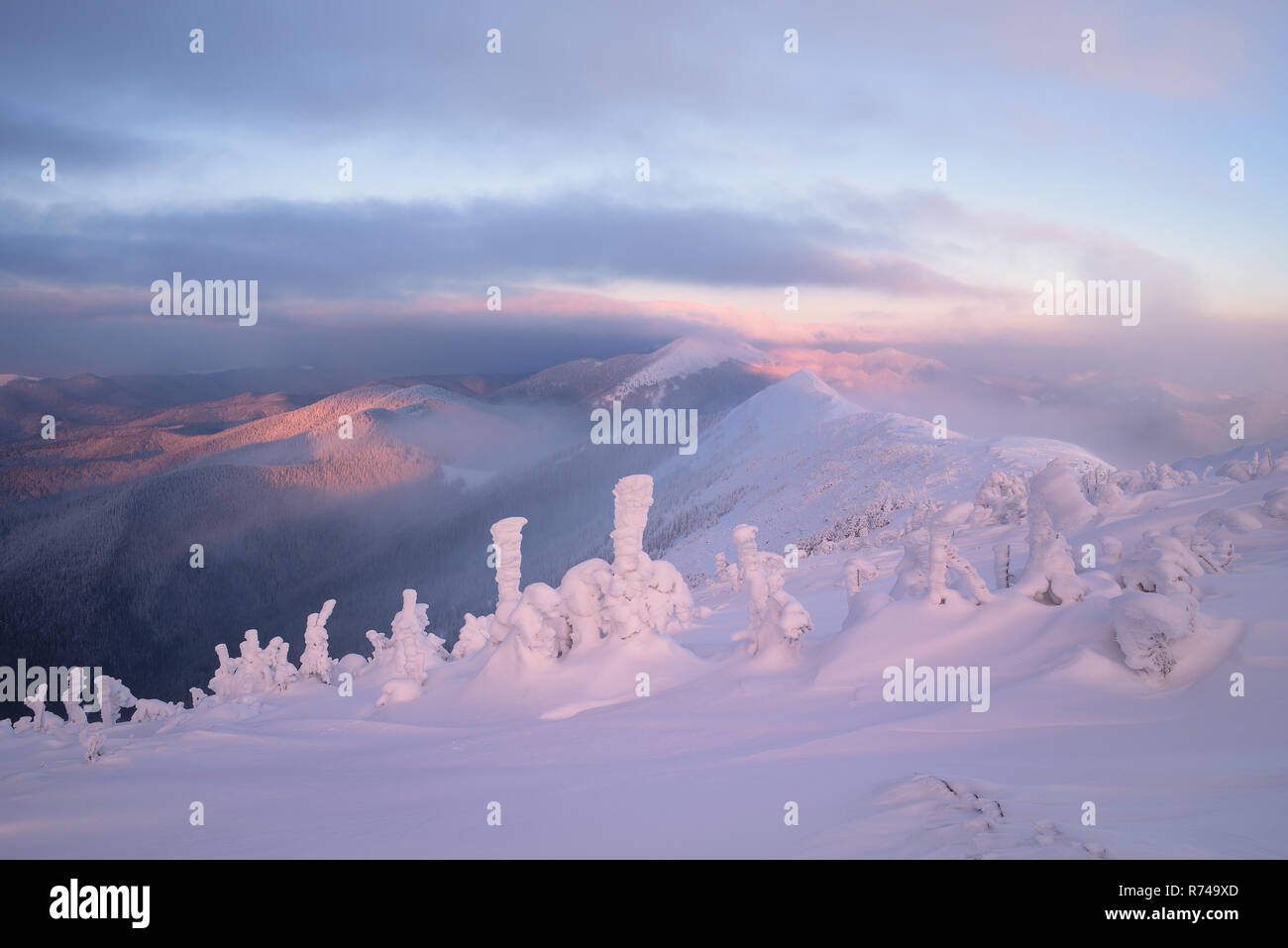Winter landscape at dawn. Mountain tops in fog and clouds. Very cold ...