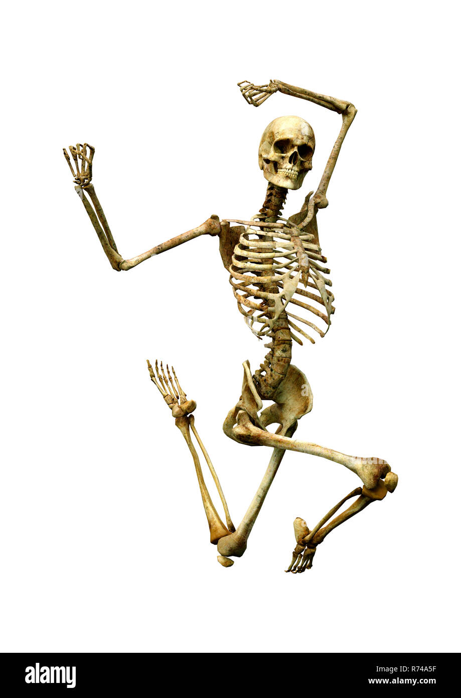 Human body skeleton jumping Cut Out Stock Images & Pictures - Alamy
