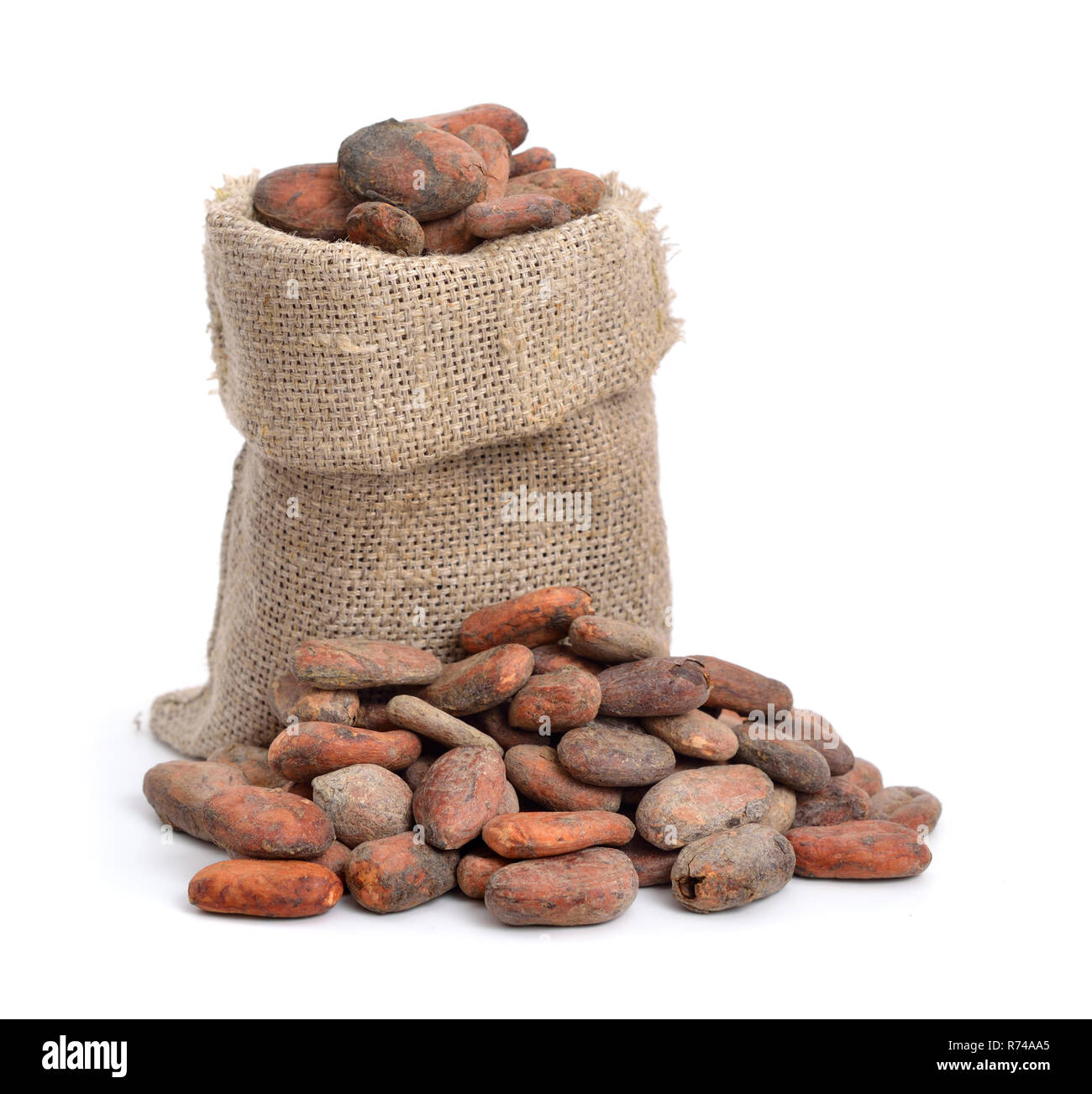 Cocoa bean processing Cut Out Stock Images & Pictures - Alamy
