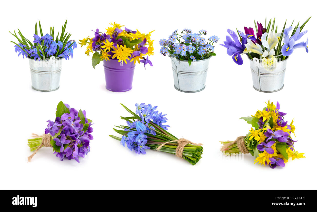 Spring flowers set. Isolated on white background Stock Photo - Alamy