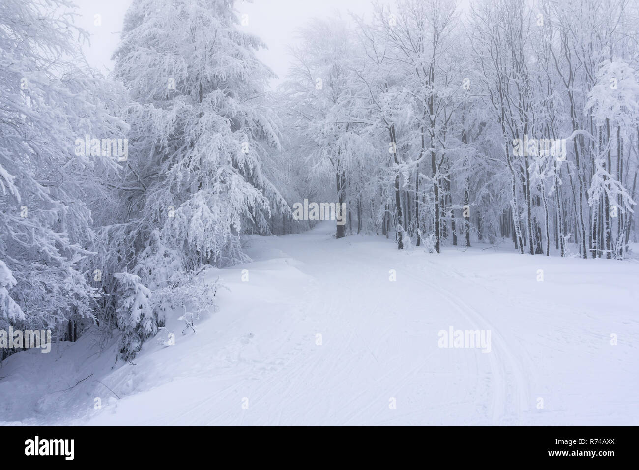 Cloudy Winter Day