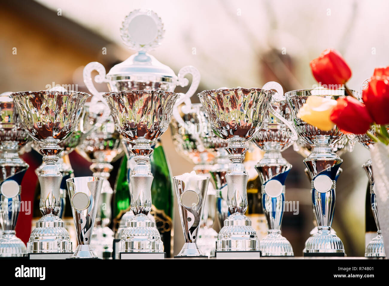 Different Champion Silver Trophy, Trophies. Winners Cups Stock Photo ...