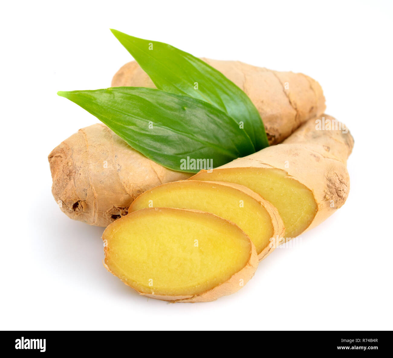 Ginger plants Cut Out Stock Images & Pictures - Alamy