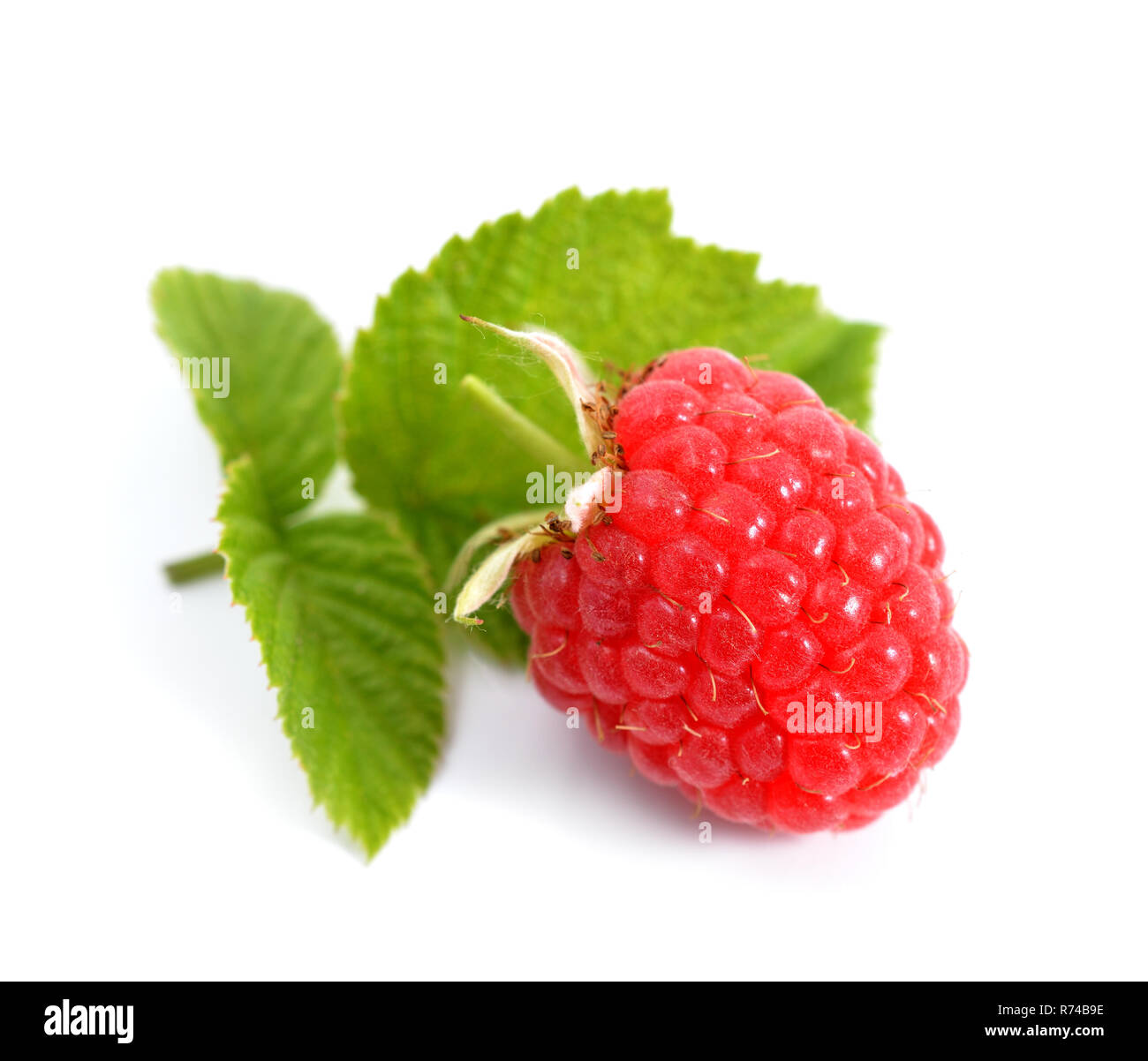 Raspberry isolated on white background Stock Photo - Alamy