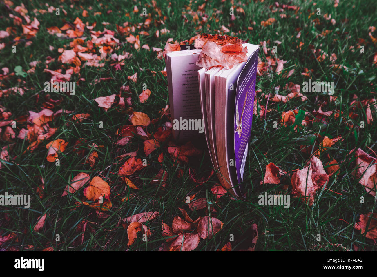 The Secret Book Stock Photo - Alamy