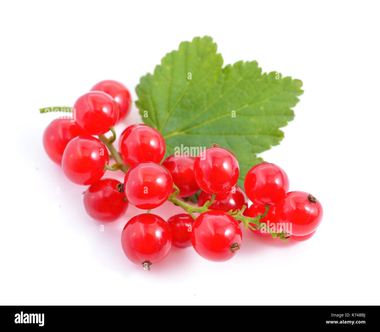 Redcurrant isolated on white background Stock Photo - Alamy