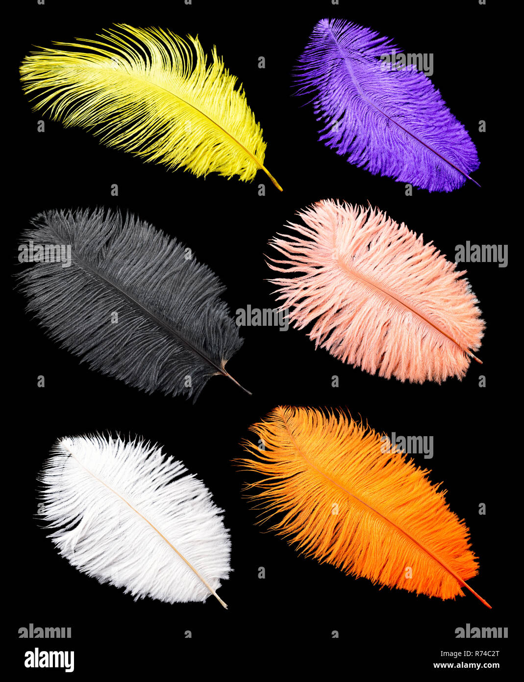 Collection of different color feathers. Isolated on black background ...