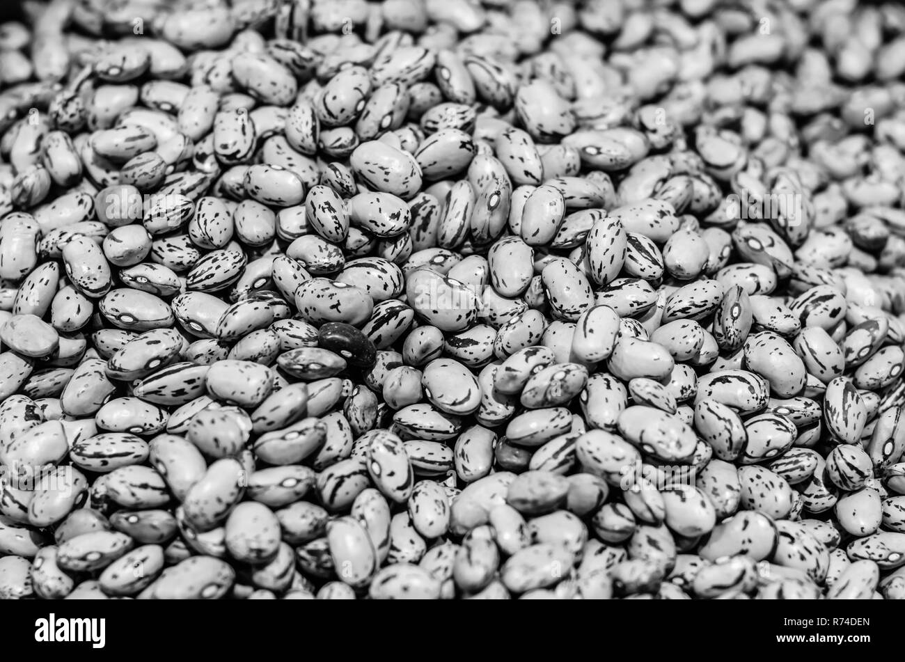 Detail of beans Stock Photo - Alamy