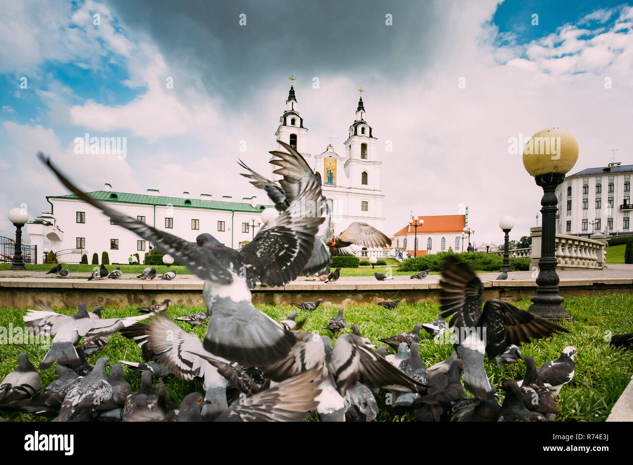 Holy spirit pigeon hi-res stock photography and images - Alamy