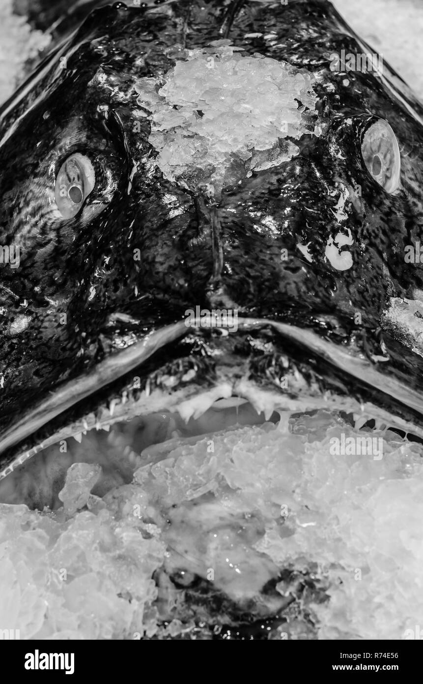 Health food market Black and White Stock Photos & Images - Alamy