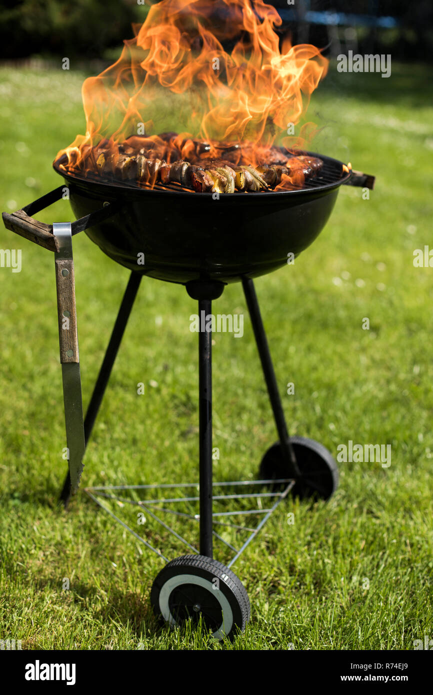 Barbecue grill with fire on nature, outdoor, close up Stock Photo - Alamy