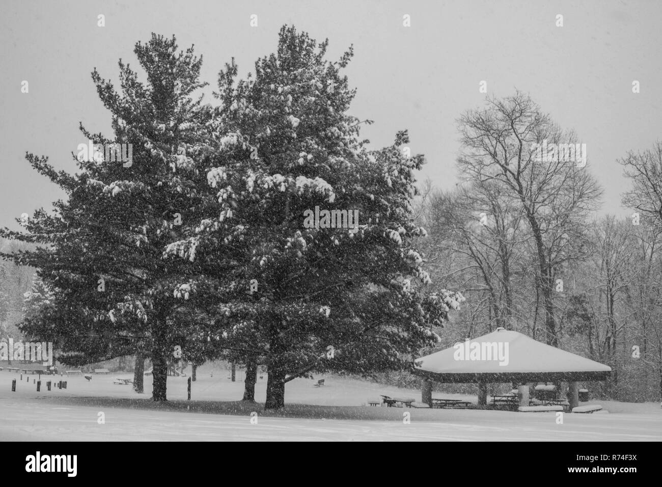 Stephen gray Black and White Stock Photos & Images - Alamy