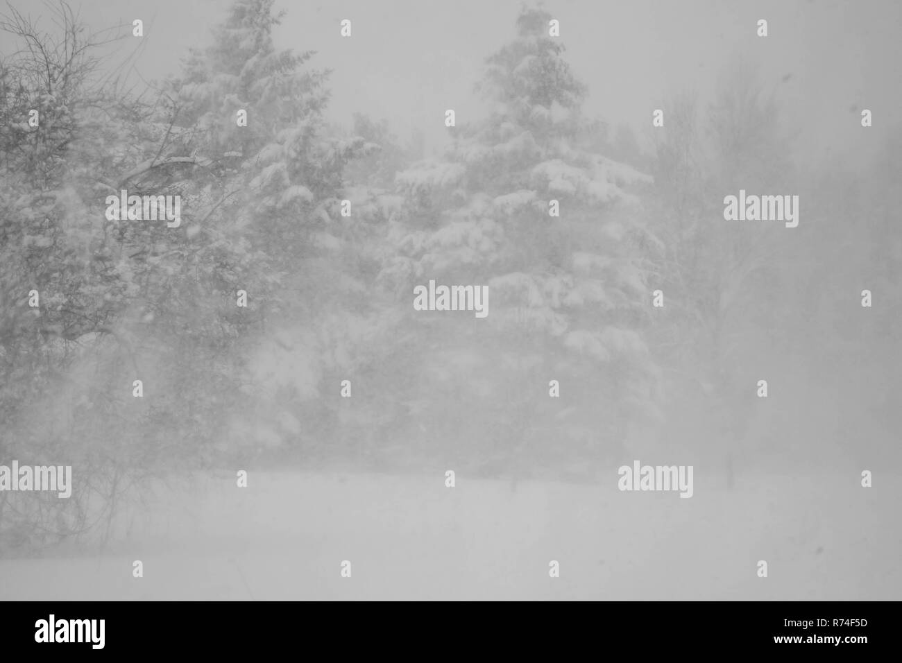 Stephen gray Black and White Stock Photos & Images - Alamy