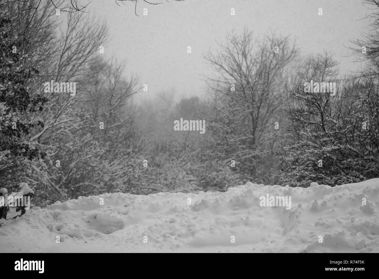 Stephen gray Black and White Stock Photos & Images - Alamy