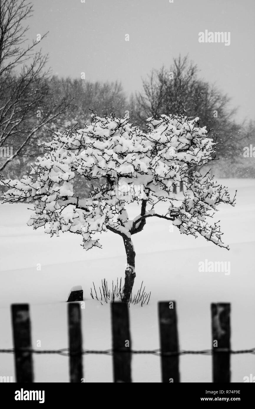 Stephen gray Black and White Stock Photos & Images - Alamy