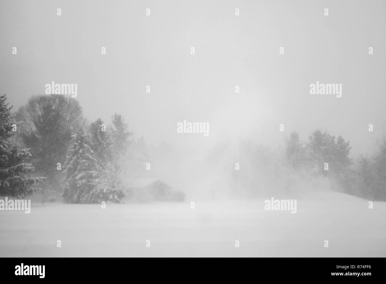Stephen gray Black and White Stock Photos & Images - Alamy