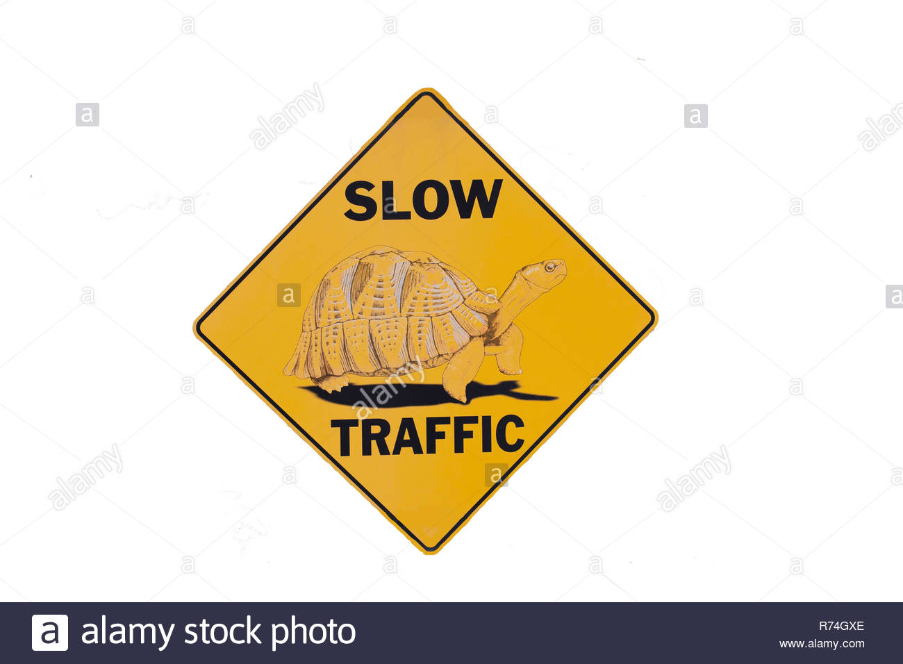 Turle Stock Photos & Turle Stock Images - Alamy