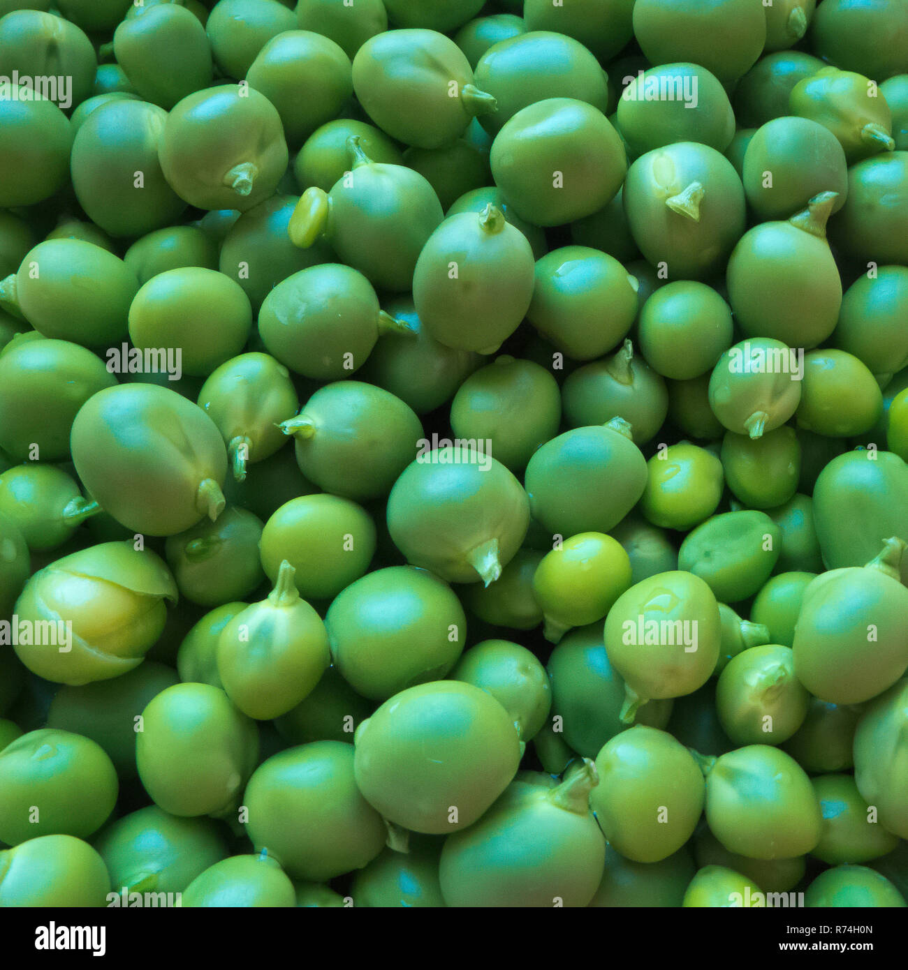 Fresh peas farm market hi-res stock photography and images - Alamy