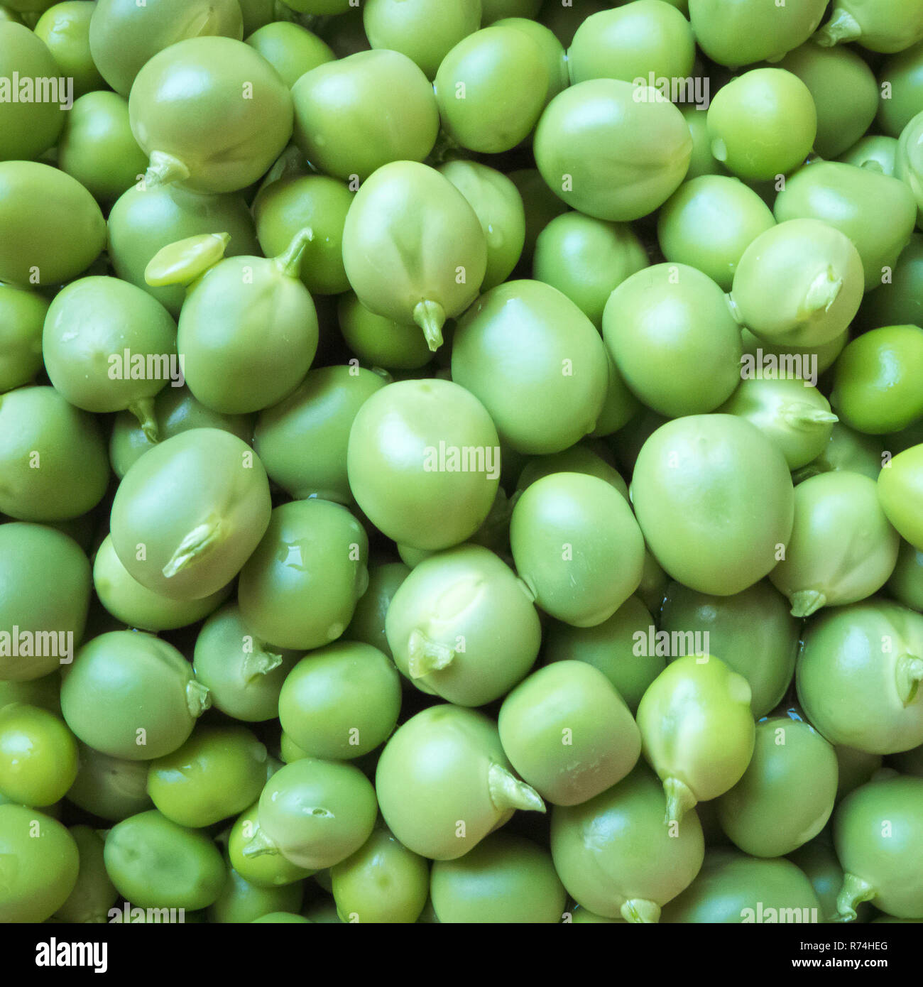 Fresh peas farm market hi-res stock photography and images - Alamy