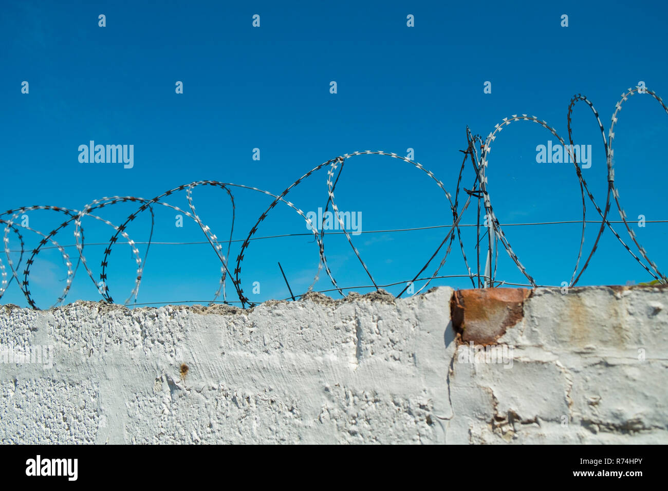 coils of razor wire on top of a brick wall Stock Photo - Alamy