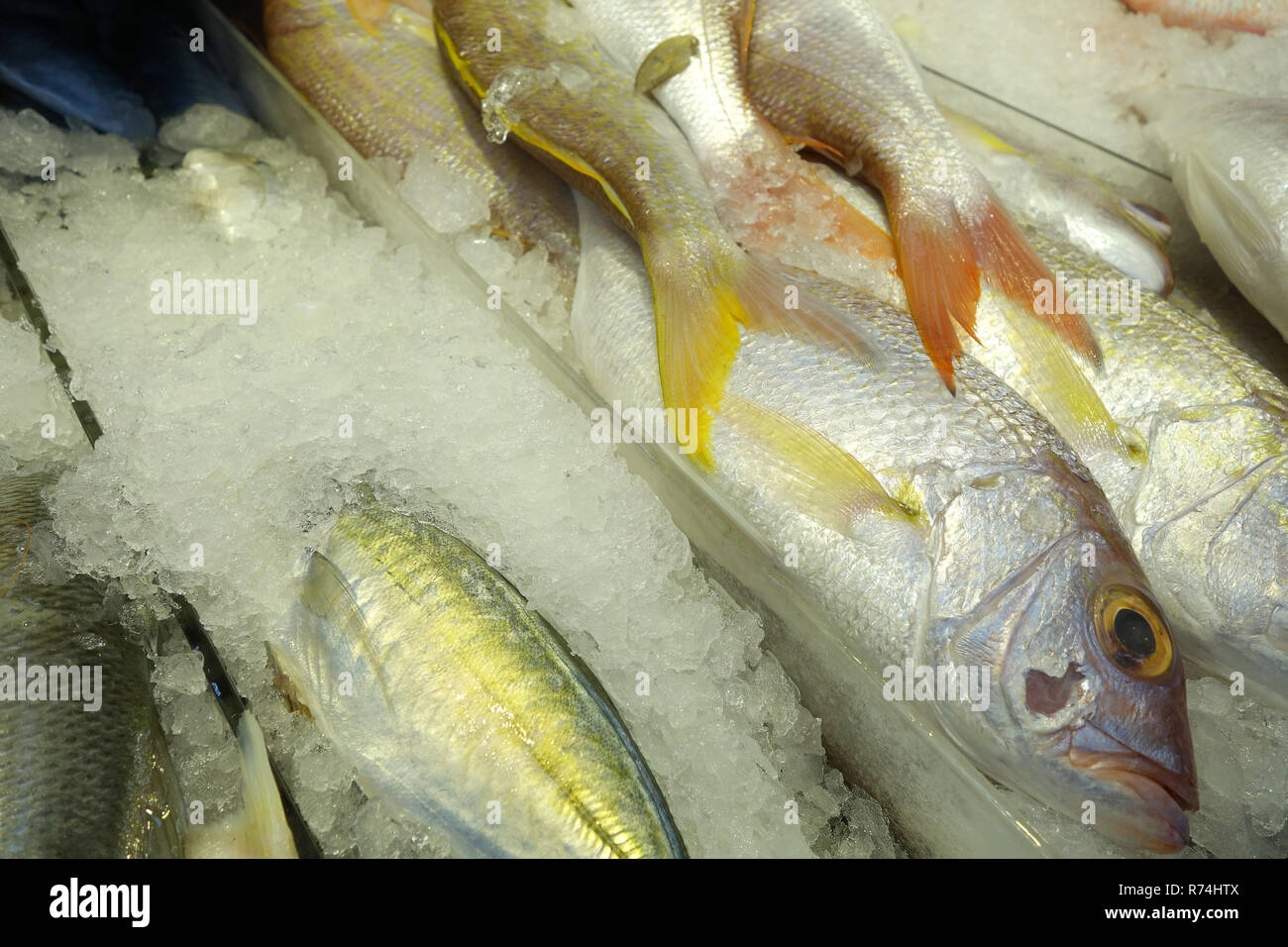 Variety of raw fresh fish Stock Photo - Alamy