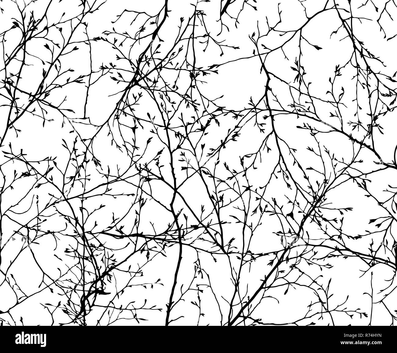 vector seamless texture of the branches on the white background Stock ...