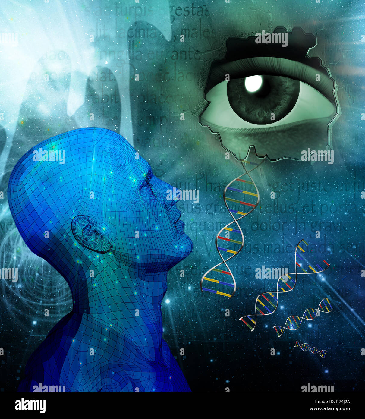 Human evolution sequence hi-res stock photography and images - Alamy