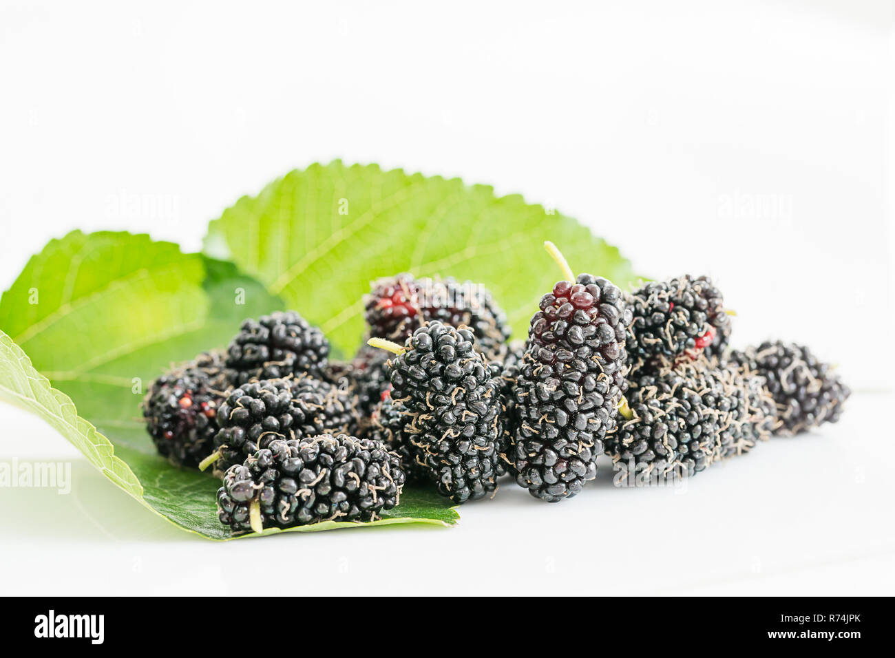 Close up mulberry fruit with green leaf Stock Photo - Alamy