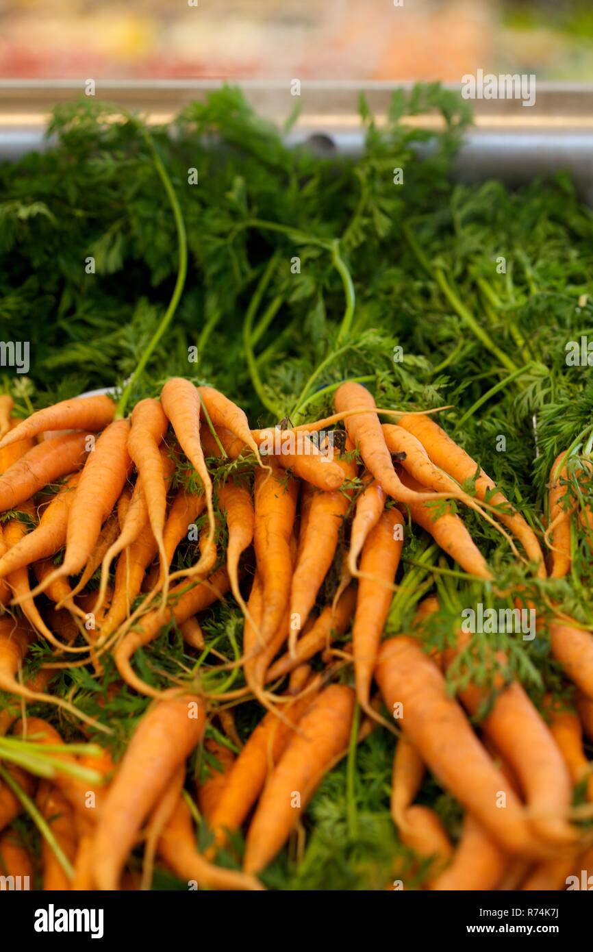 Unpackaged and shop hi-res stock photography and images - Alamy