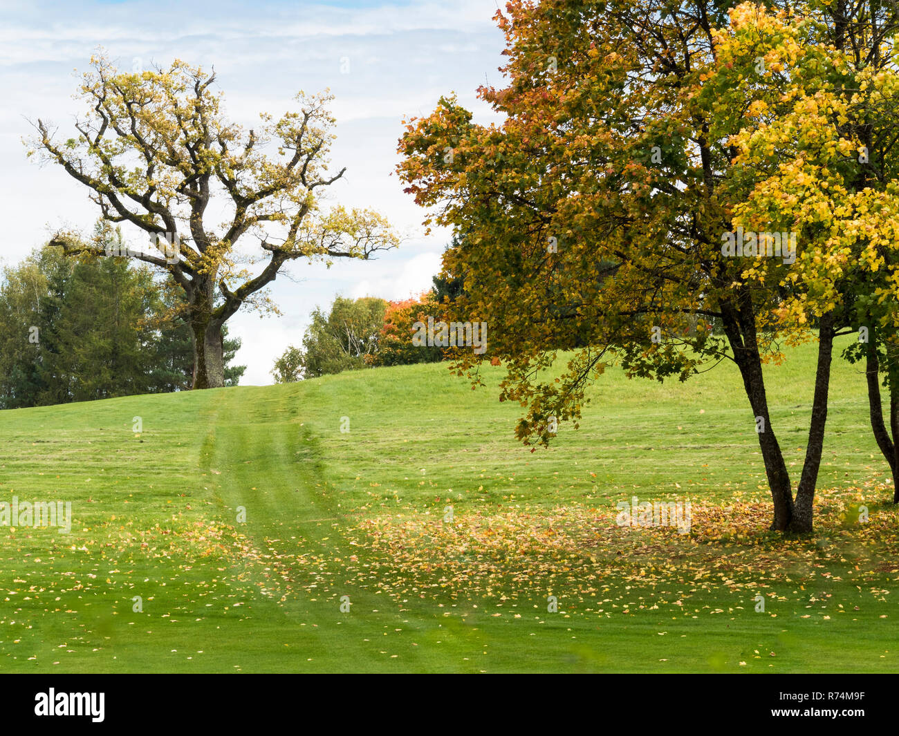 Scenic autumn park green lawn hi-res stock photography and images - Alamy
