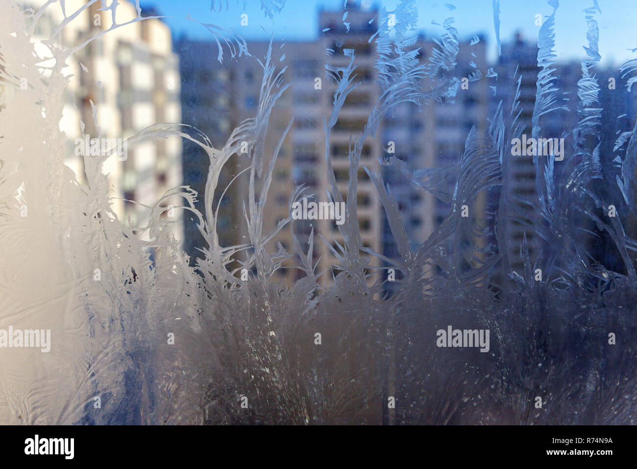 Frozen winter window with shiny ice frost pattern texture. Christmas ...