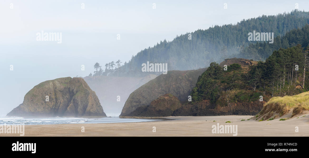 Rising fog, Ecola State Park, as seen from Cannon Beach, Oregon, USA ...