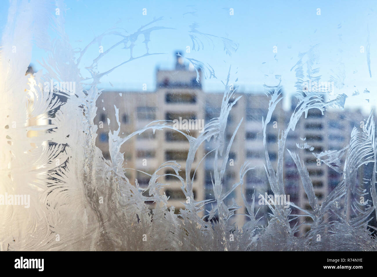 Frozen winter window with shiny ice frost pattern texture. Christmas ...