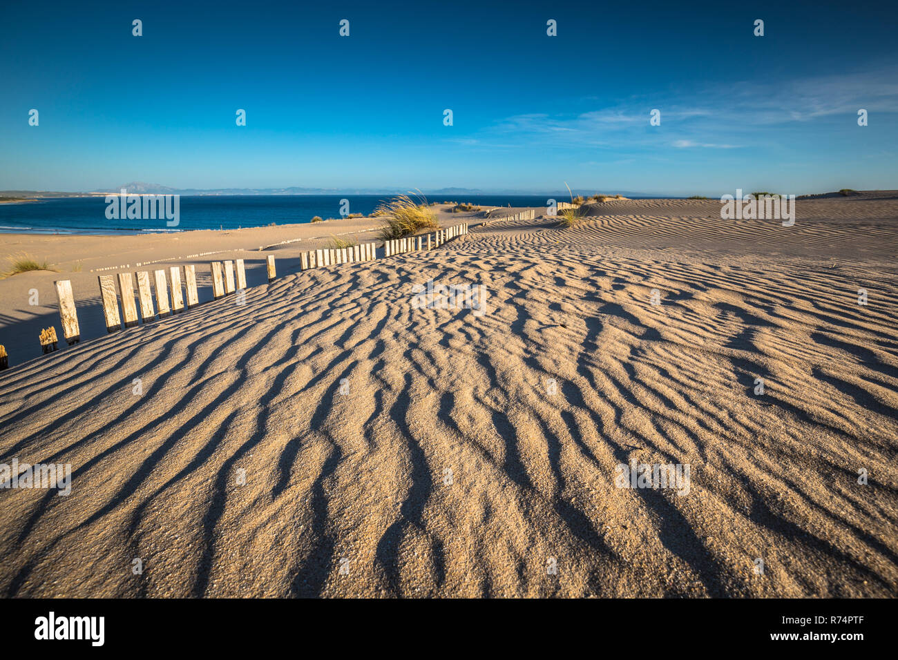 dune of punta paloma,tarifa,andalusia,spain Stock Photo - Alamy