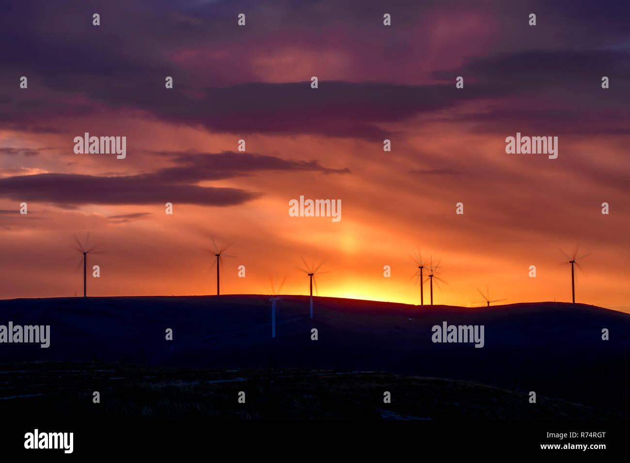 Hadzhi hi-res stock photography and images - Alamy